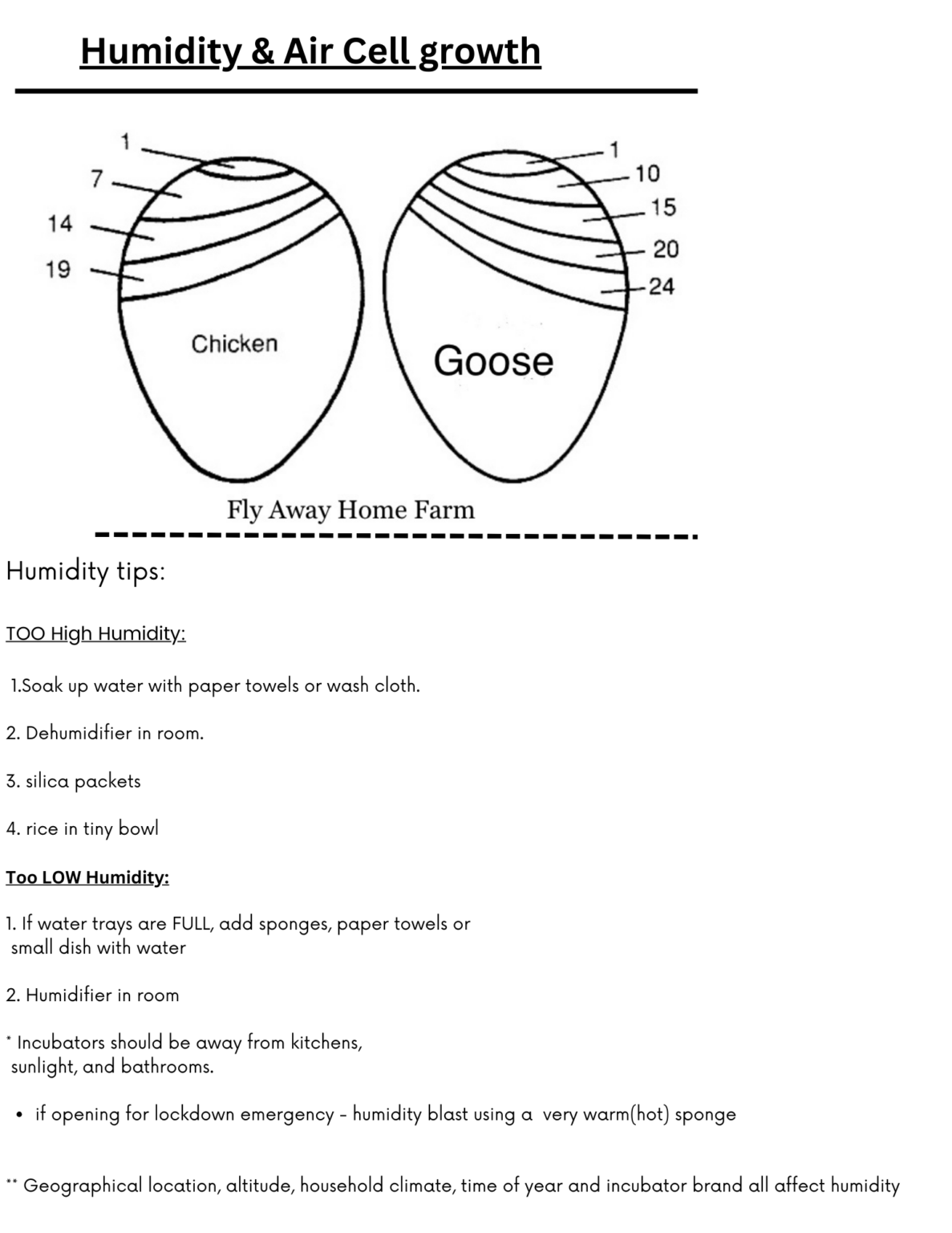 Goose Incubation Guide - Backyard Poultry